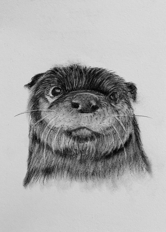 Otter Drawing Face Pin Page