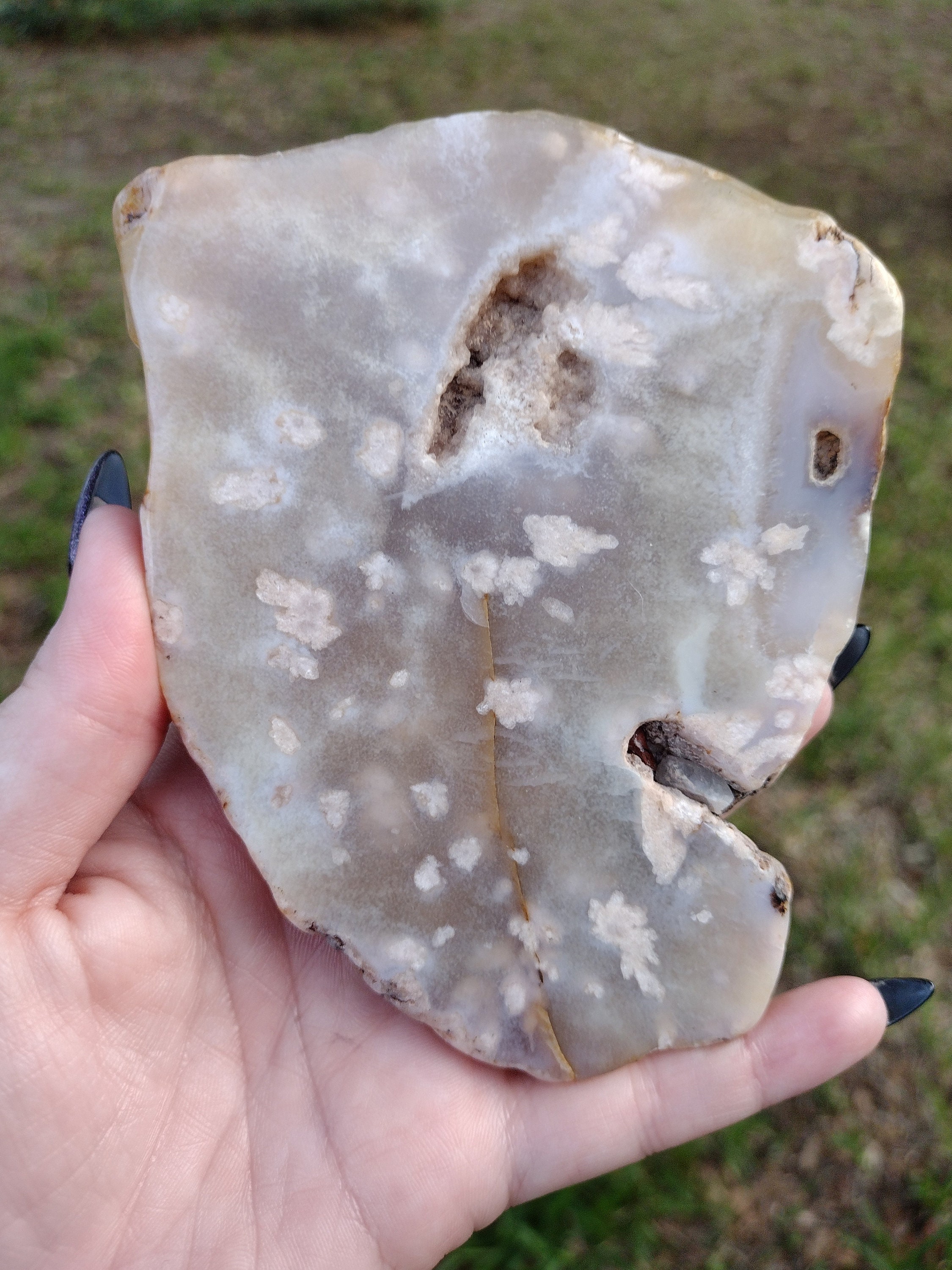 Stunning Flower Agate Blossom Slab - Etsy