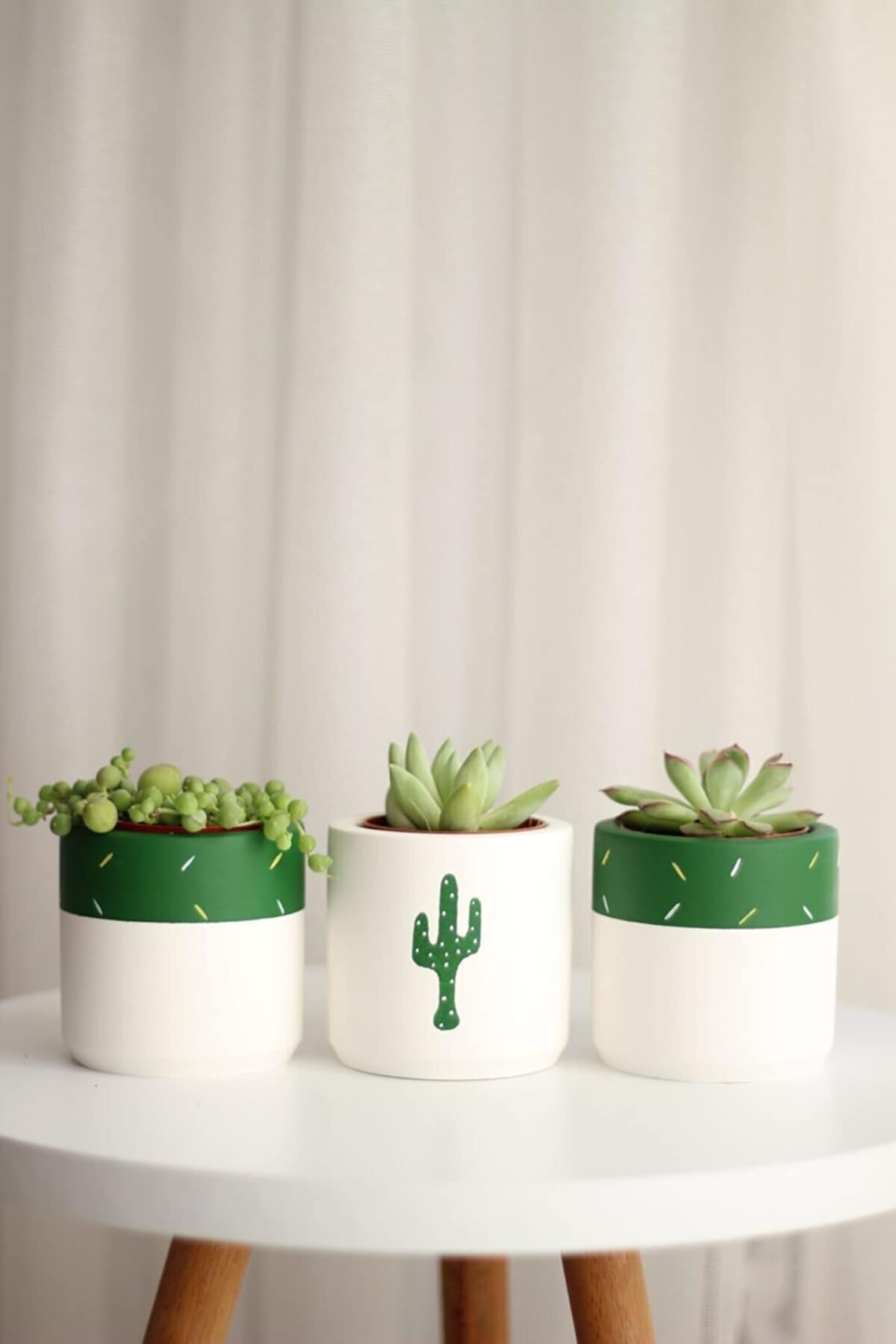 Colorful Cactus Pots Small Pots Plant Gift Concrete - Etsy