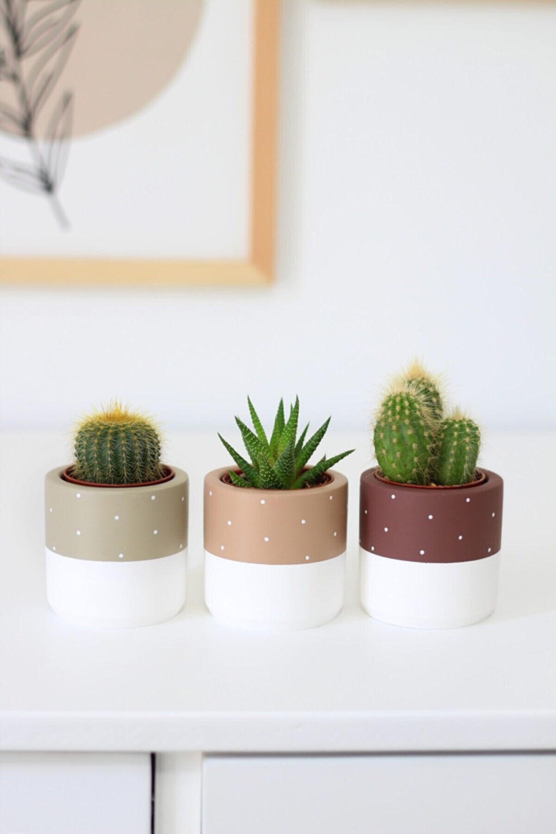 Colorful Cactus Pots Small Pots Plant Gift Concrete - Etsy