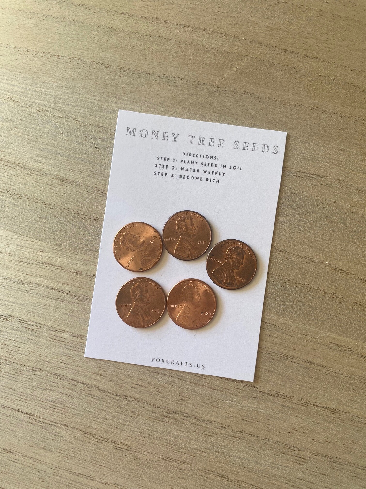 Money Tree Seeds Gag Gift, Teen, Retirement, Kid, Stocking Stuffer ...