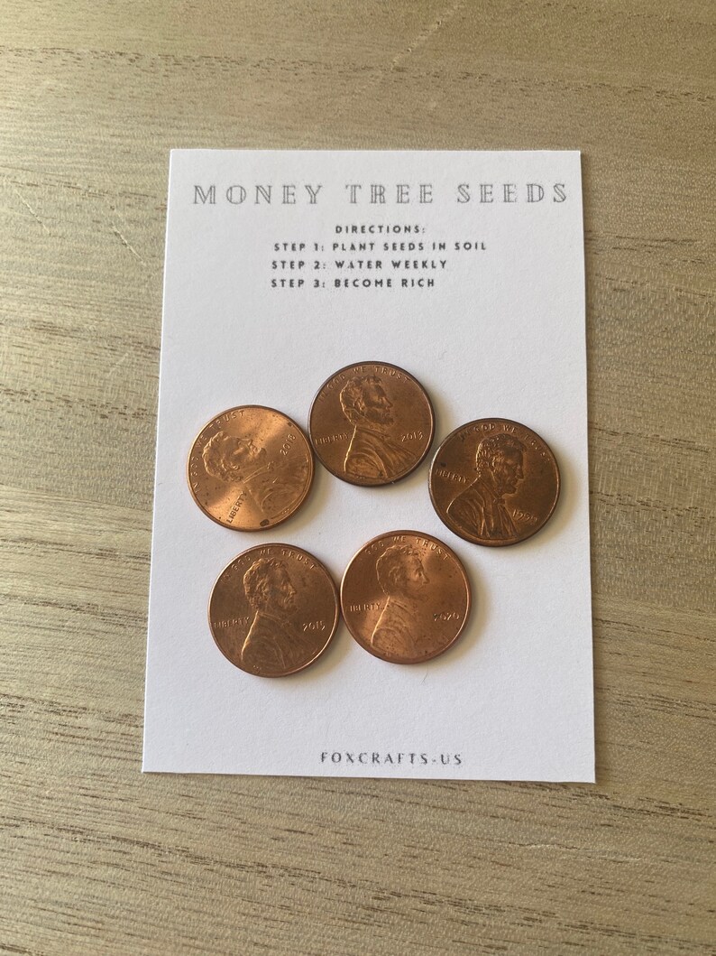 Money Tree Seeds Gag Gift, Teen, Retirement, Kid, Stocking Stuffer ...