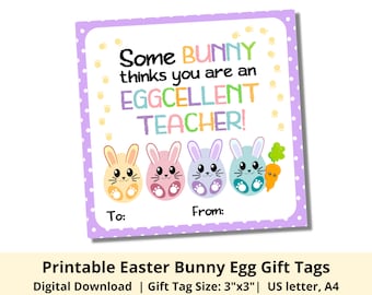 Easter Gift Tag for Volunteer | Printable Easter Bunny Volunteer Gift ...