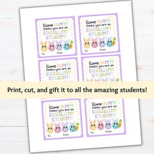 Easter Gift Tag for Student | Printable Easter Bunny Student Gift Tag ...