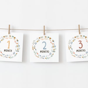 Milestone Cards Set1-12 Months,printable Monthly Milestone Cards,baby ...