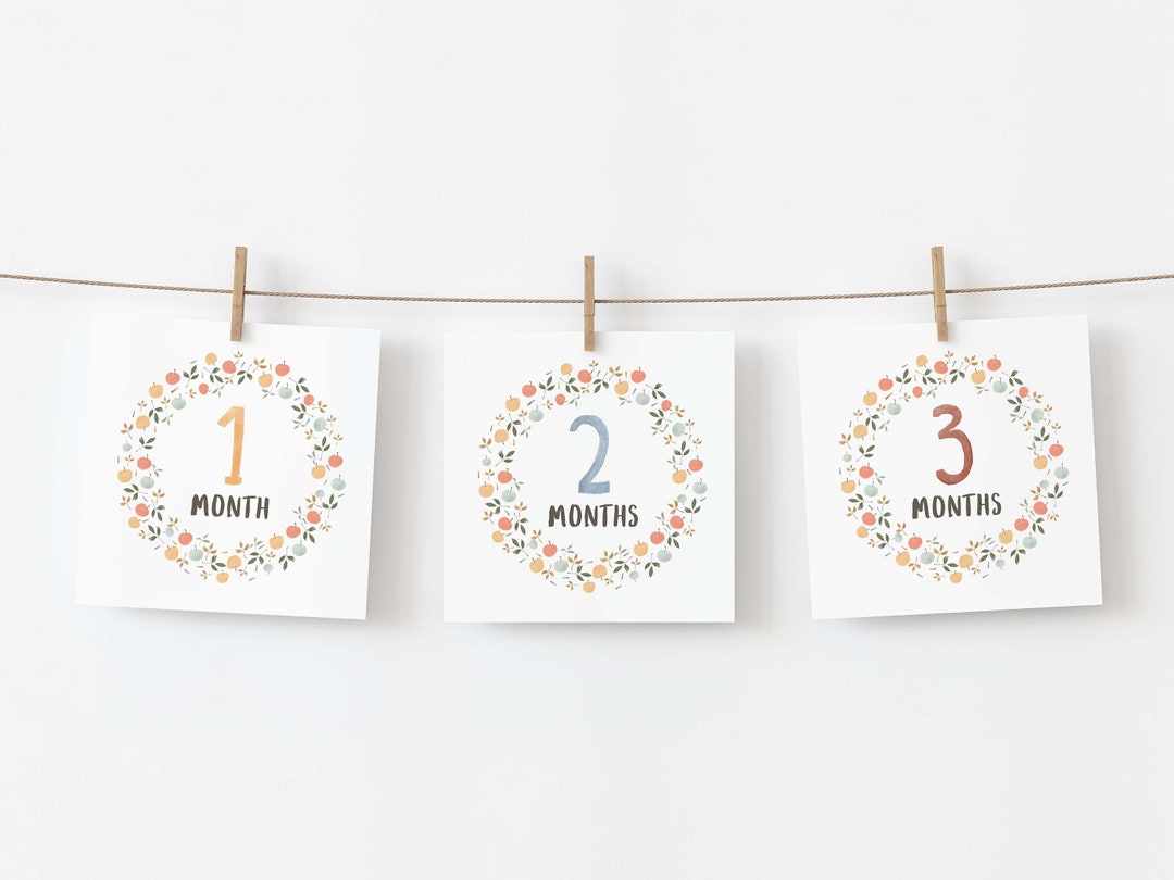 Month Milestone Cards,new Baby Shower Gift,month Milestone Printable ...