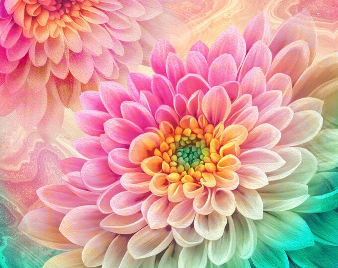 Dahlia Dazzle Pink Dalia Digital Flower Quilt Panel 59in X 59in ...