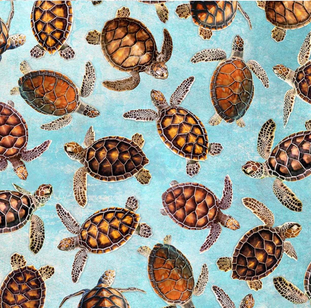 Aqua Sea Turtles on Cotton Quilt Fabric by Timeless Treasures - Etsy