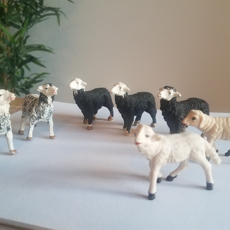 Miniature Sheep - Etsy
