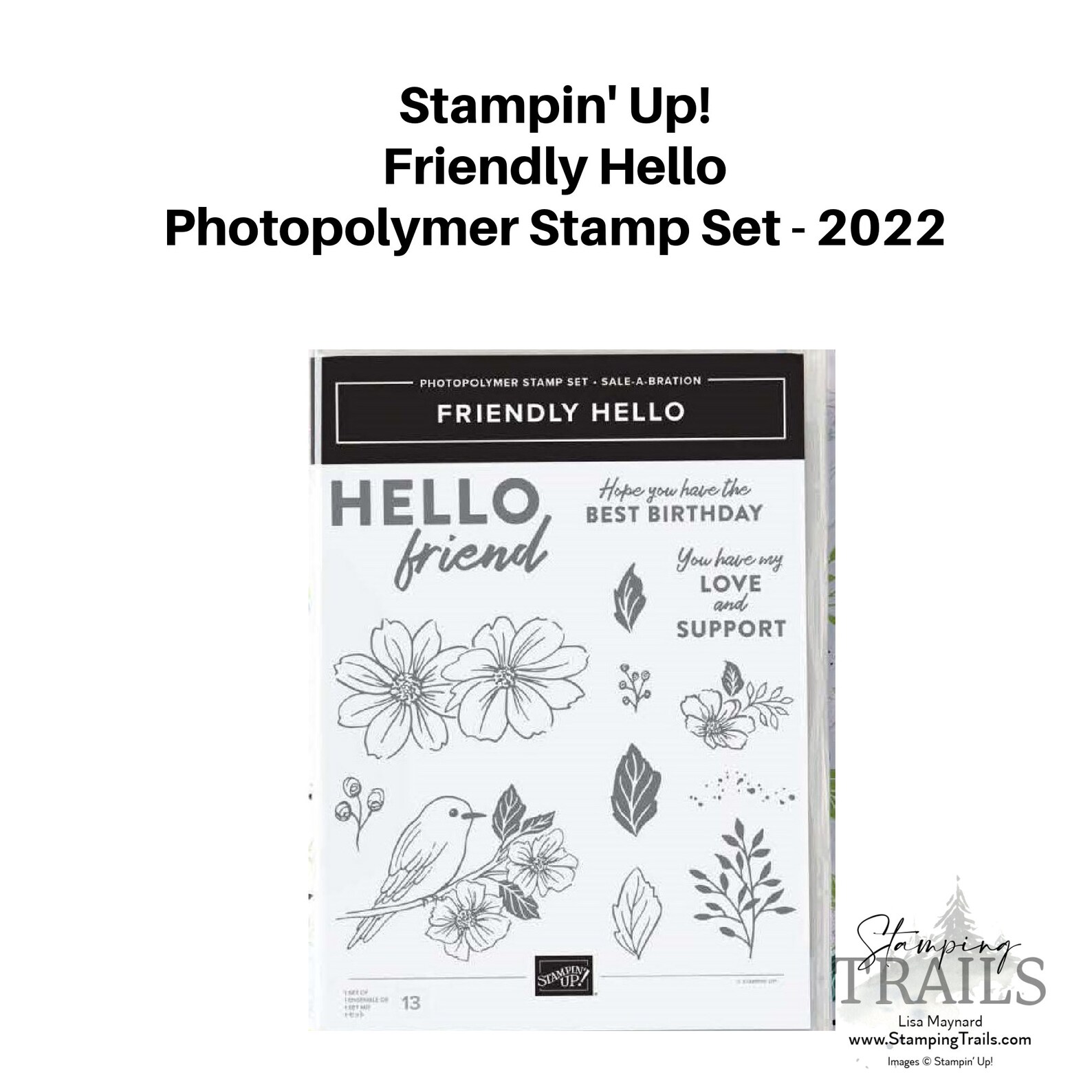 Stampin' Up RETIRED Photopolymer Stamp Sets 2022 - Etsy