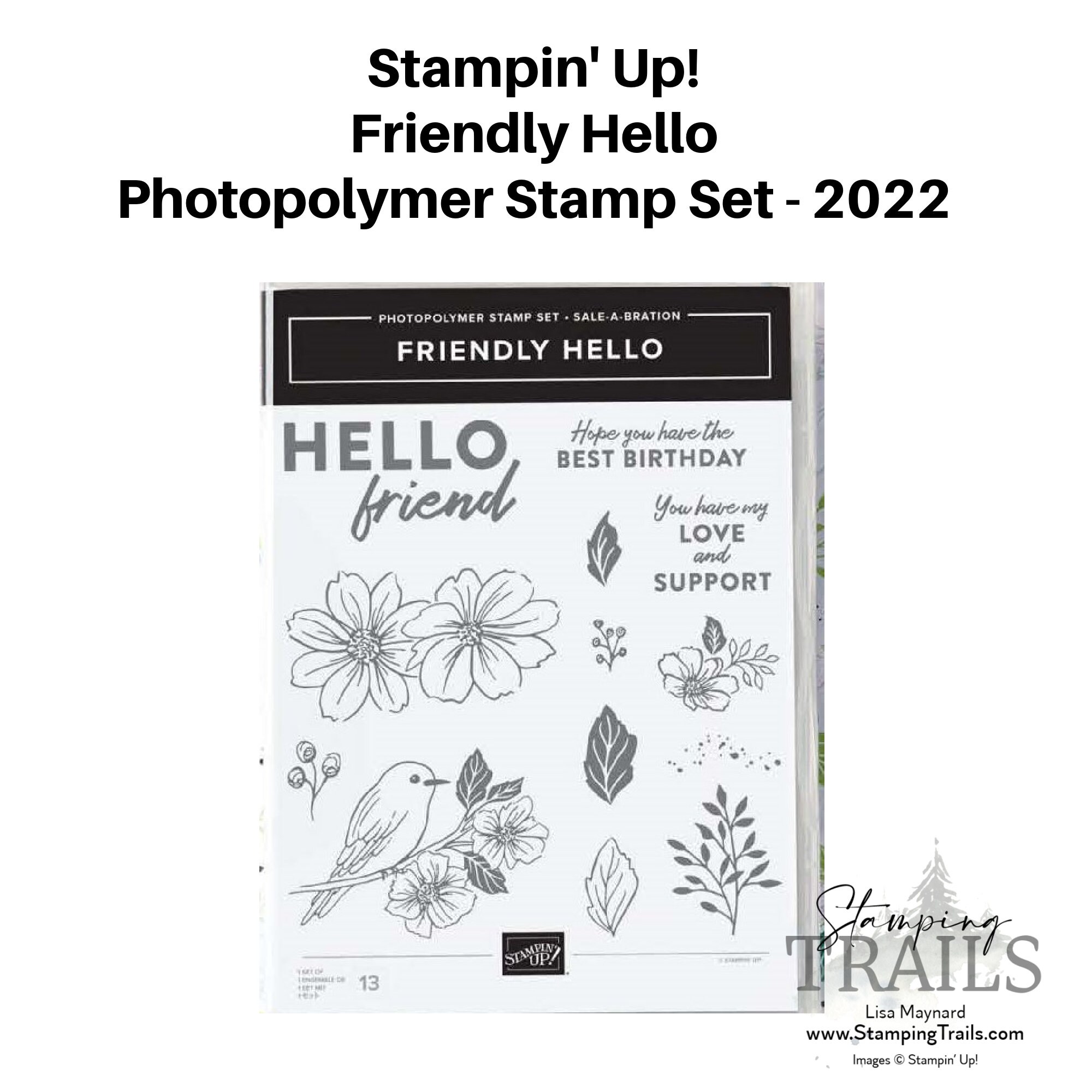 Stampin' Up BRAND NEW RETIRED Stamp Sets/bundles - Etsy