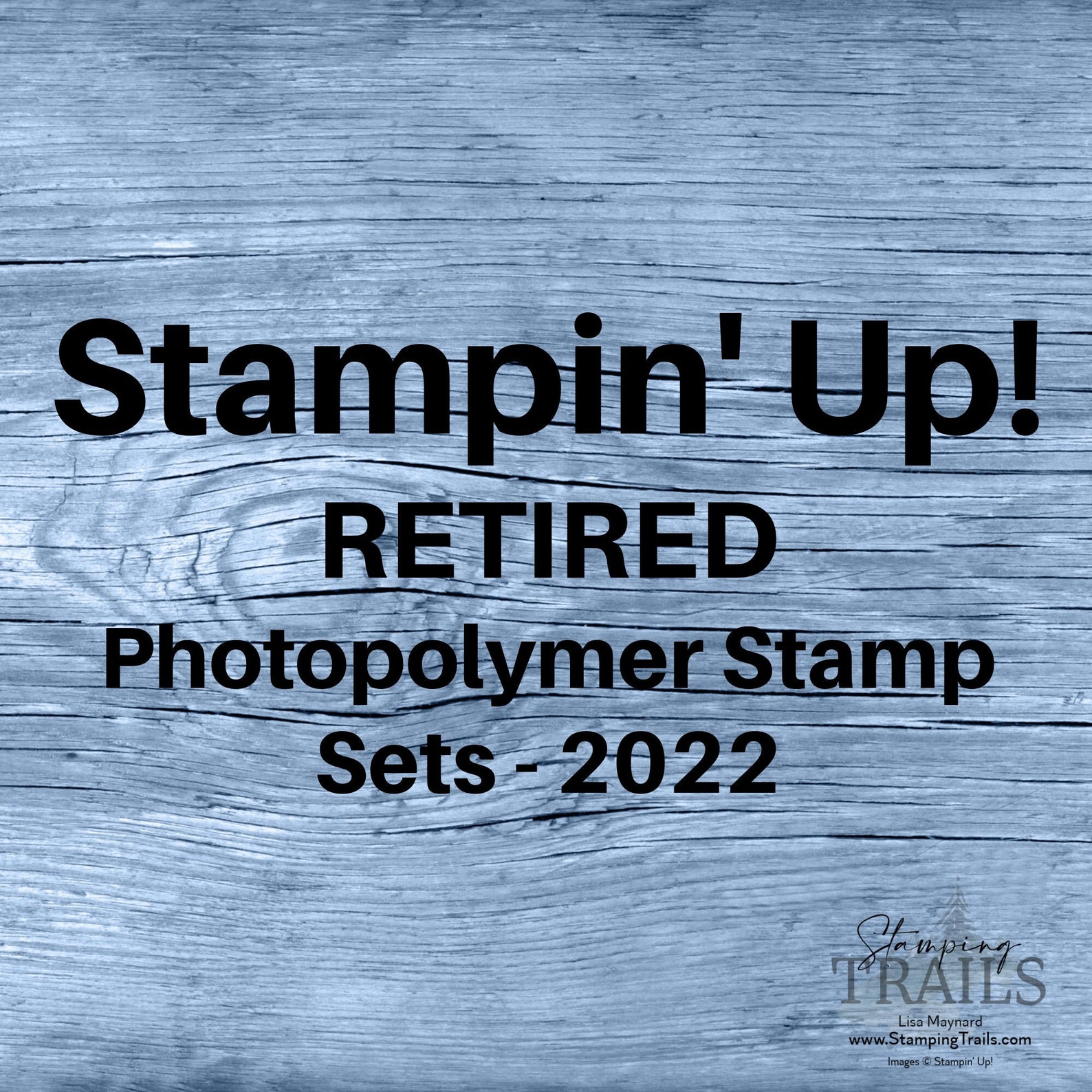 Stampin' Up! RETIRED Photopolymer Stamp Sets -2022 - Etsy