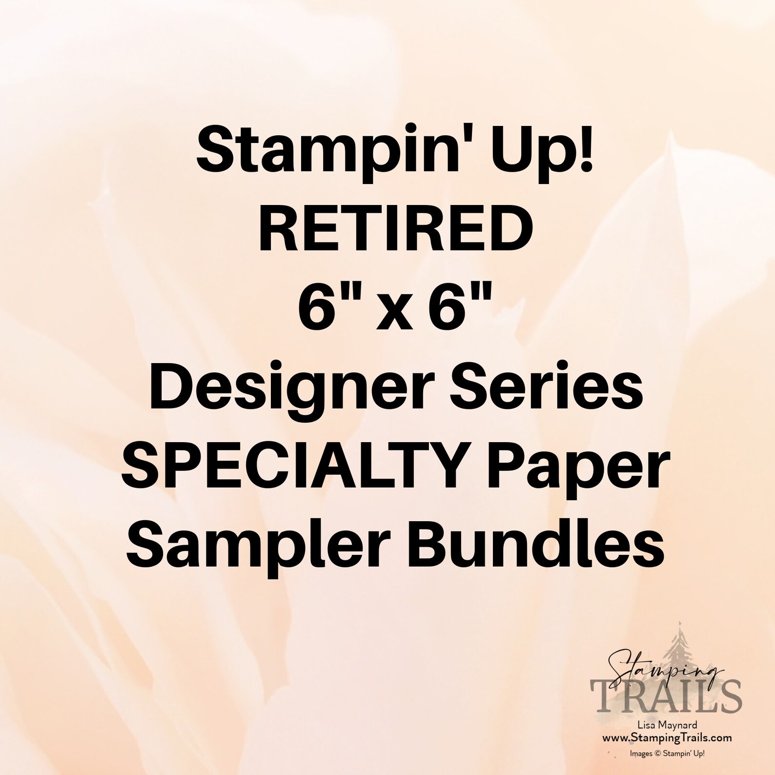 Stampin' Up! RETIRED 6" X 6" Designer Series Paper - Sampler Bundles ...