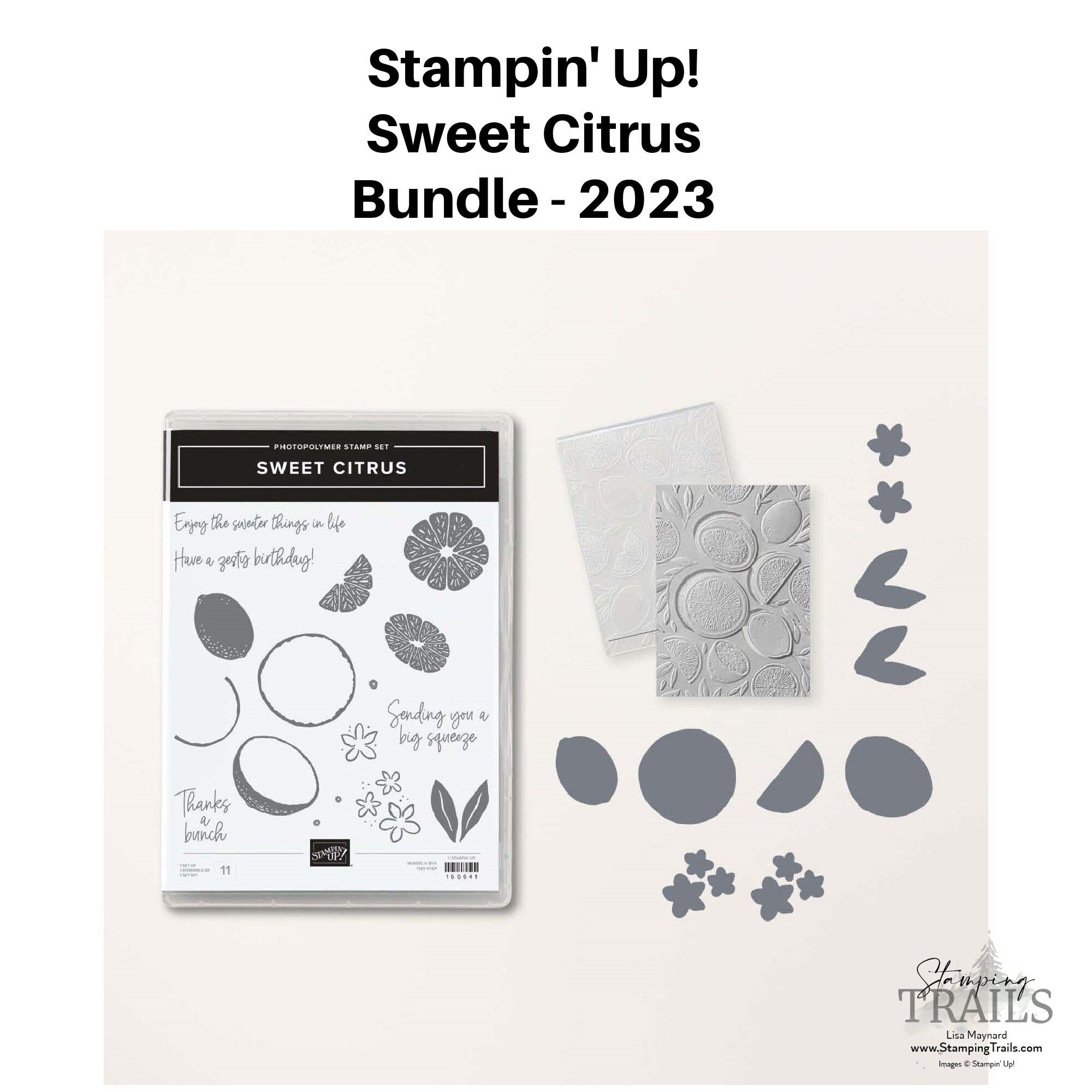 Stampin' Up! BRAND NEW RETIRED Stamp Sets/bundles 2022-2023 - Etsy