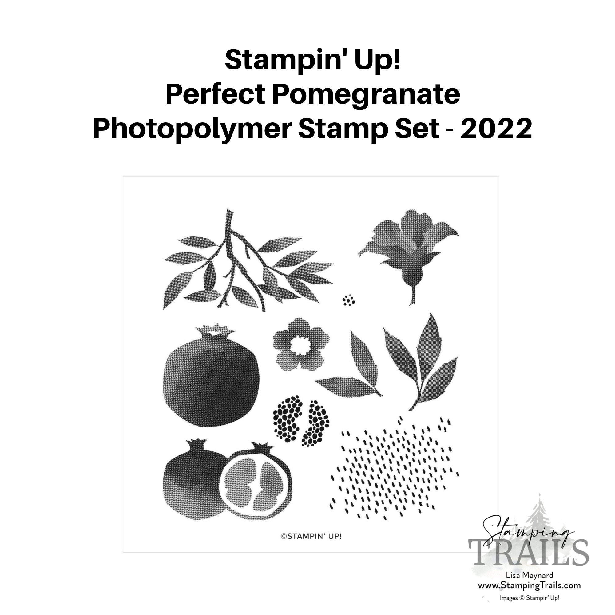 Stampin' Up! RETIRED Photopolymer Stamp Sets -2022 - Etsy