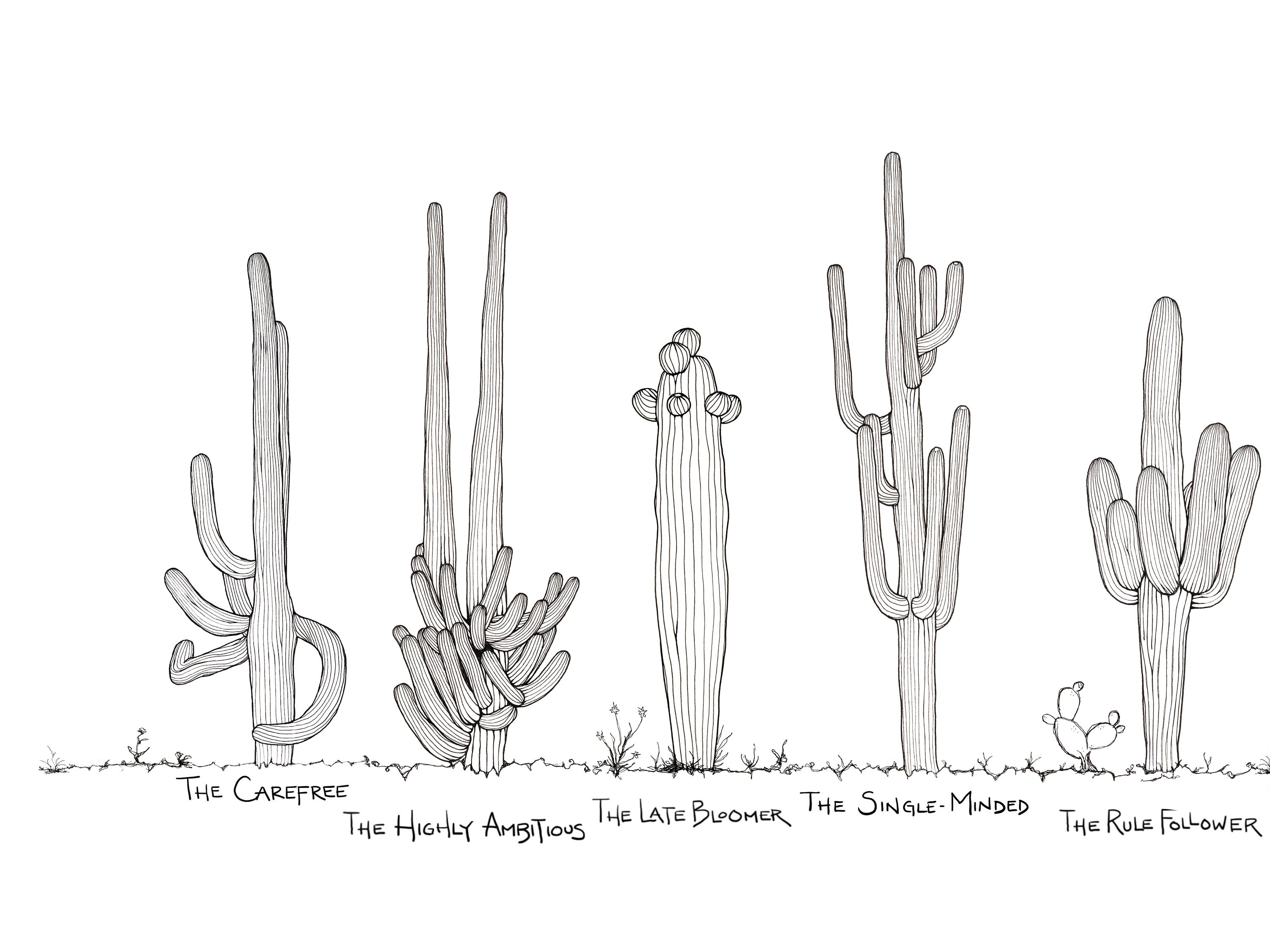 Panoramic "saguaro Personality Types" Archival Print! Make a Statement ...