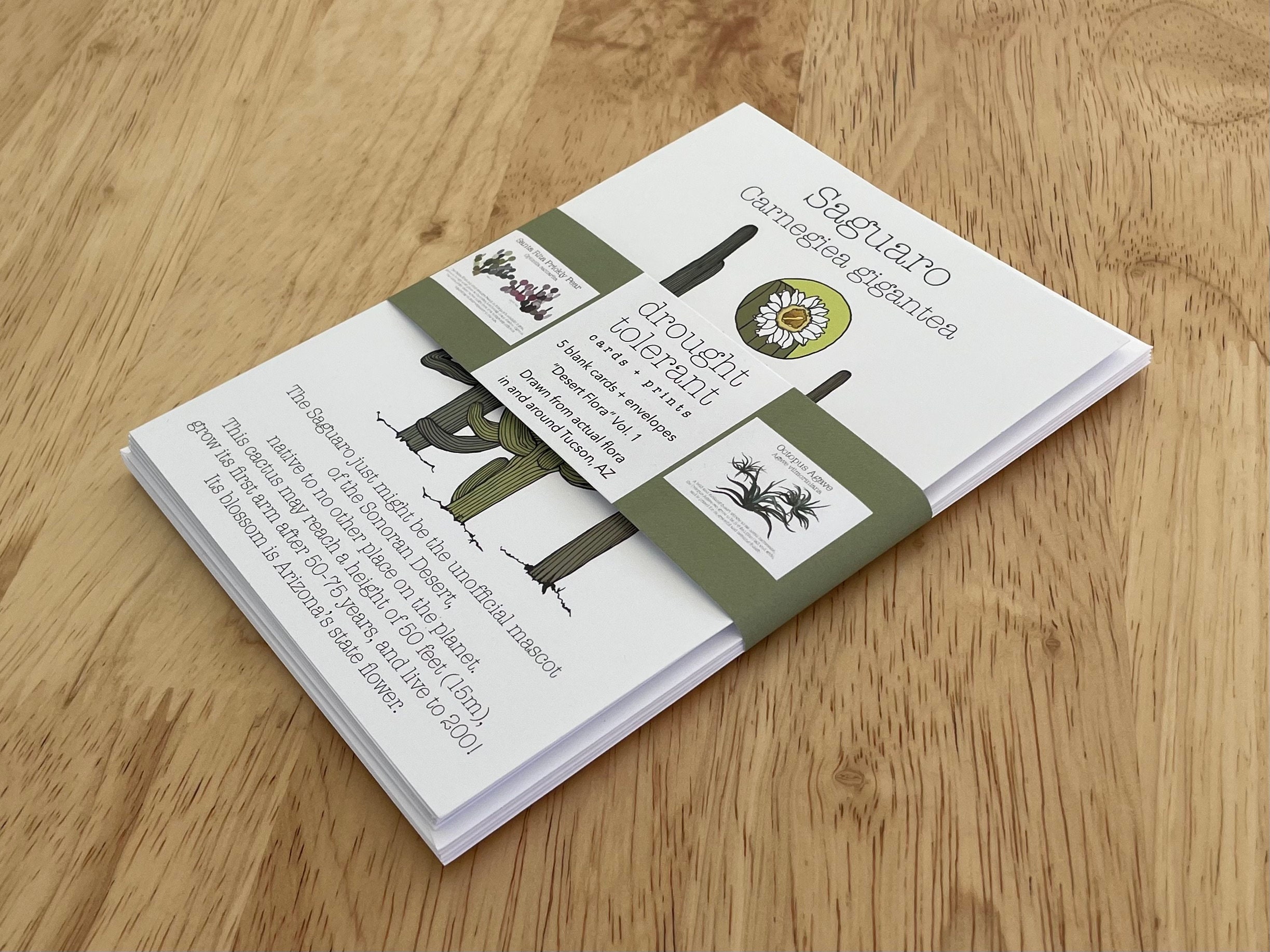 Set of 5 Desert Botanical Note Cards. everyday - Etsy