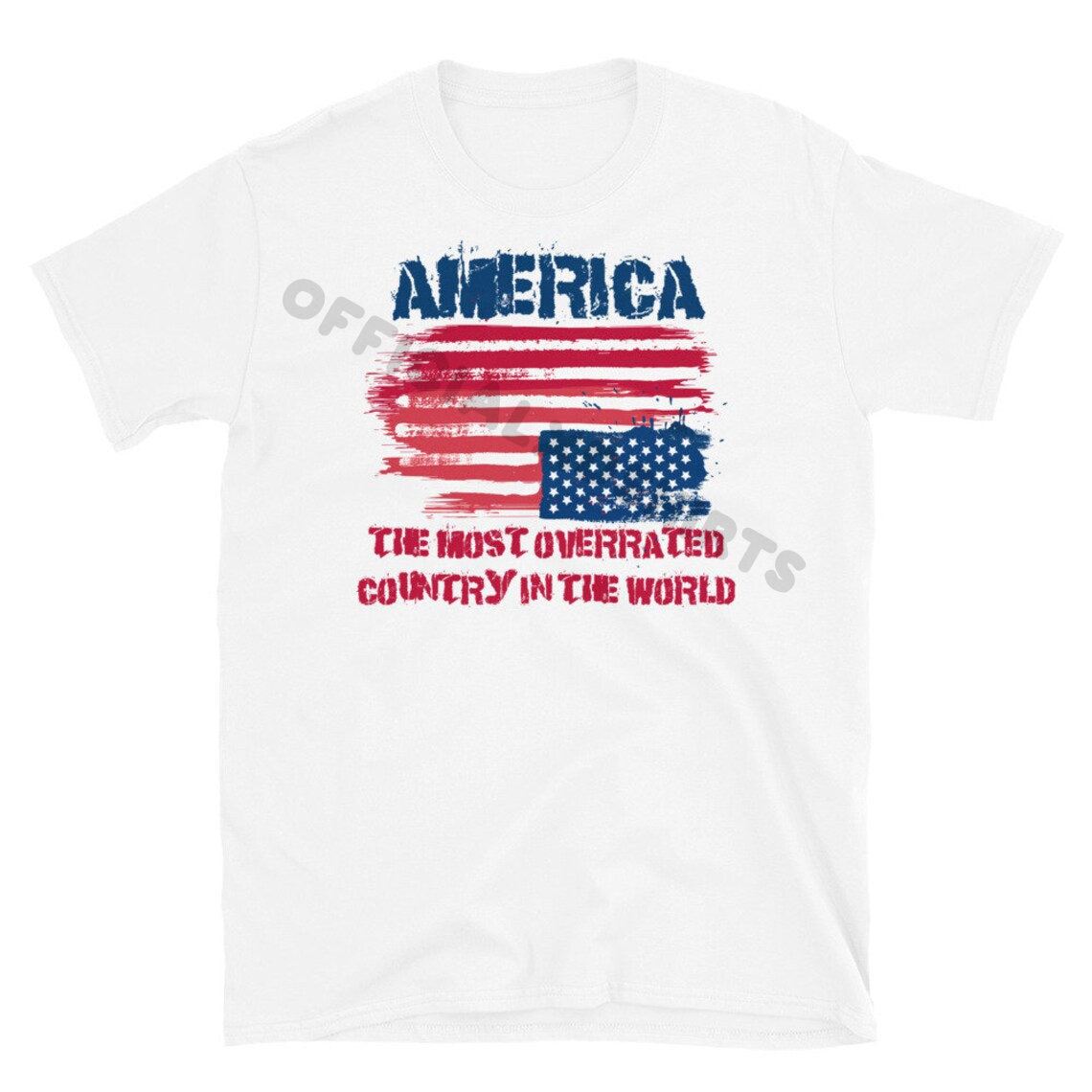 America, the Most Overrated Country Leftist Grunge Punk Protest ...