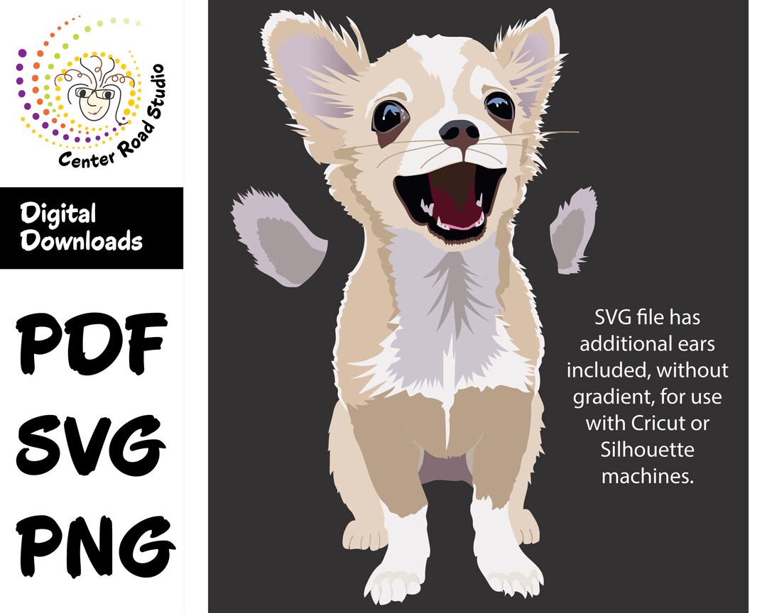 Long-haired Chihuahua, Shown as a Yapping, Howling, Smiling, Adorable ...