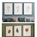 Watercolor Flowers Set, Boho Decor, Botanical Prints, Plant Wall Art ...