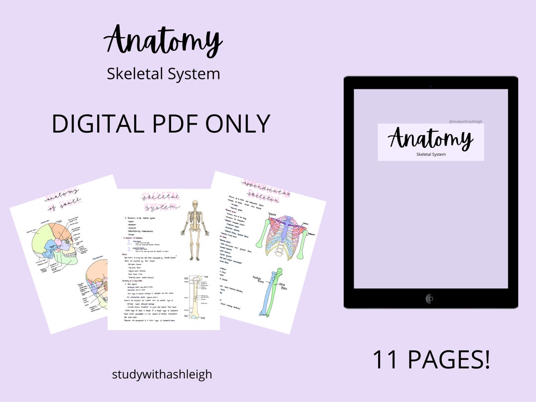 Anatomy Skeletal System Notes Bones Axial Skeleton Appendicular ...
