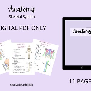 Anatomy Skeletal System Notes Bones Axial Skeleton Appendicular ...