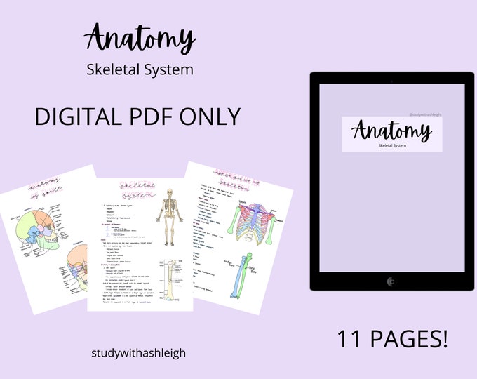 Basic Anatomy Flashcards PDF - Etsy