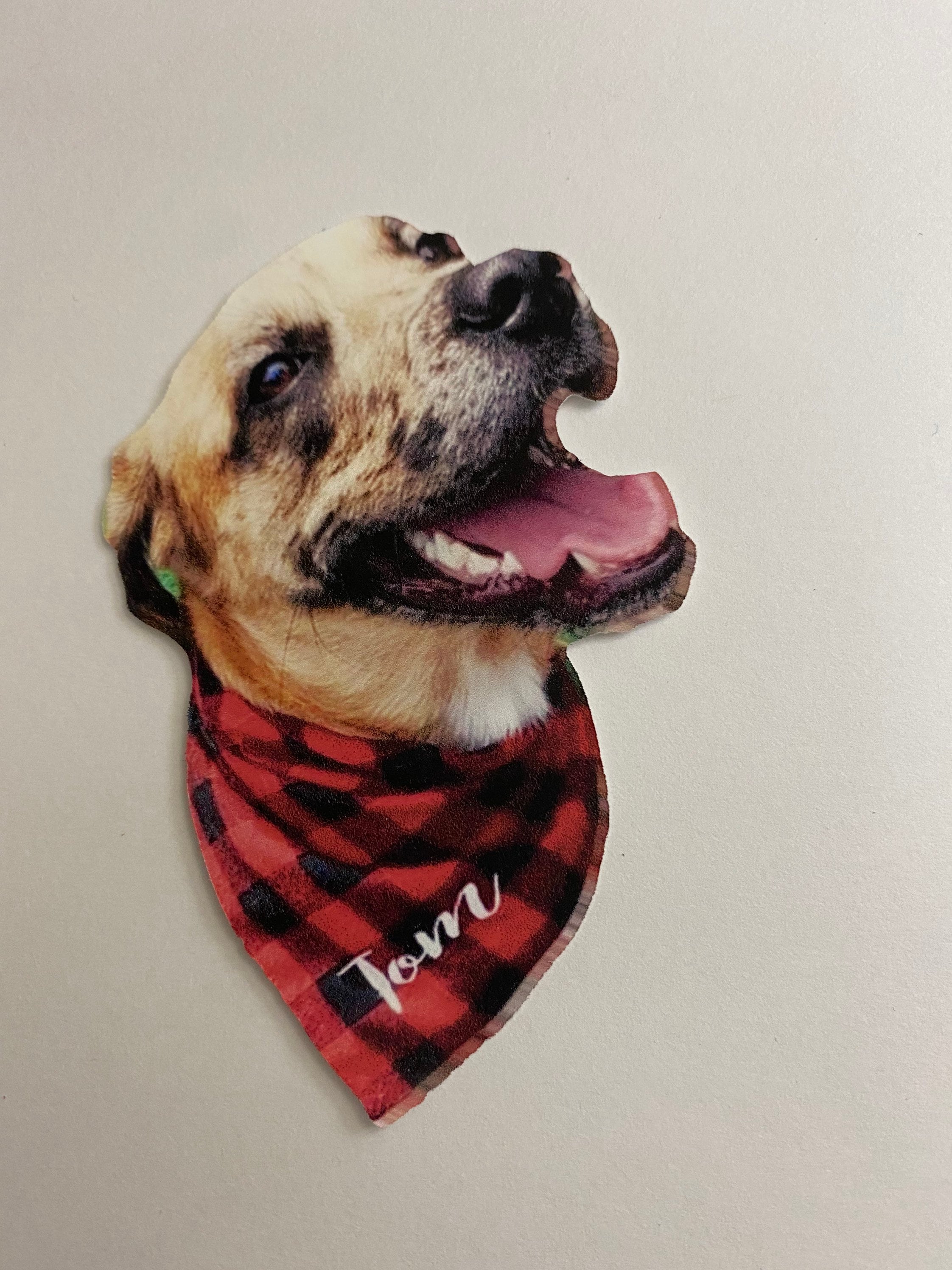 Custom Pet Stickers, Custom Dog Sticker, Custom Cat Sticker, Party ...