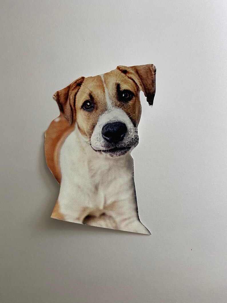 Custom Pet Stickers, Custom Dog Sticker, Custom Cat Sticker, Party ...