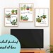 Plant Lover Affirmations Wall Art Printable • Boho Gallery Wall ...