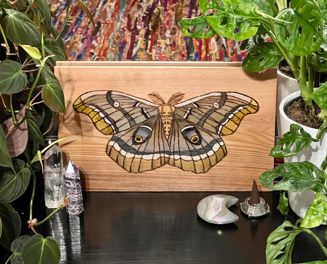 Hand-burned Antheraea Polyphemus - Polyphemus Moth Art on Poplar Wood ...