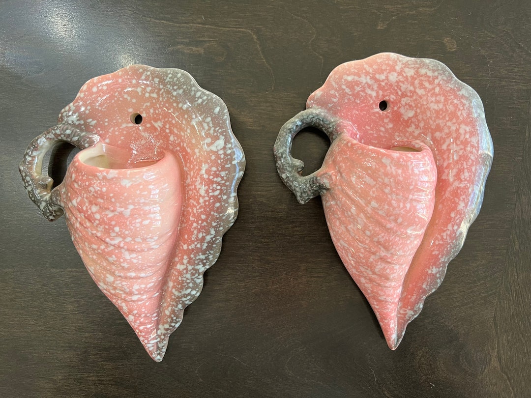 Set of 2 Pink Hull Seashell Wall Pockets - Etsy