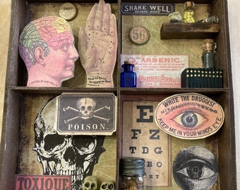 Oddities Shadow Box - Etsy