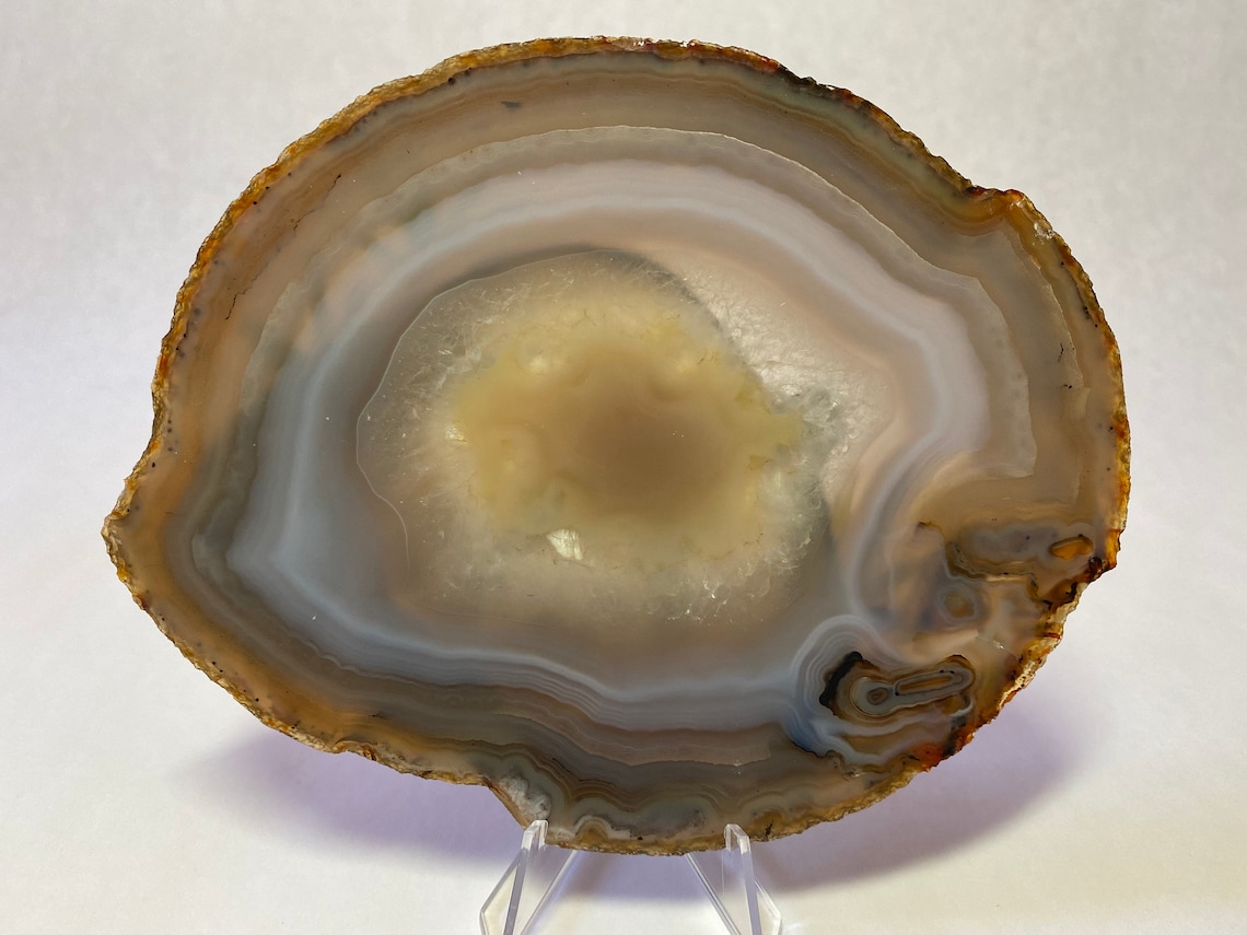 Custom Hand Painted Panda Stone Realistic Panda Agate - Etsy