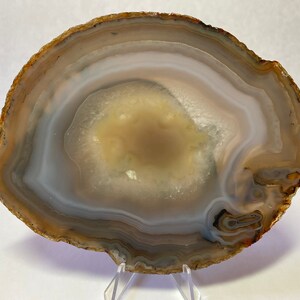 Custom Hand Painted Panda Stone, Realistic, Panda, Agate, Metaphysical ...