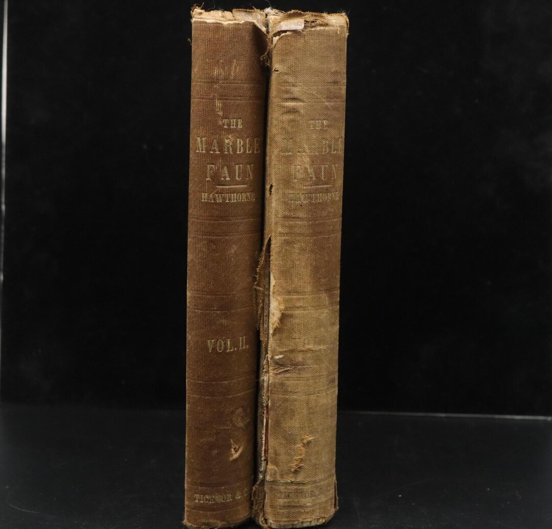 1860 First Edition Marble Faun by Nathaniel Hawthorne Two Volume ...