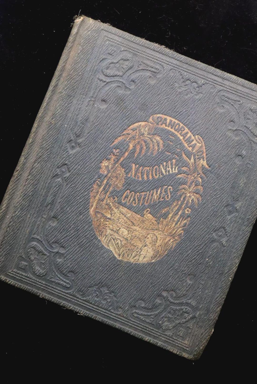 Rare 1854 Panorama of National Costumes Book – Brockett Hutchinson ...
