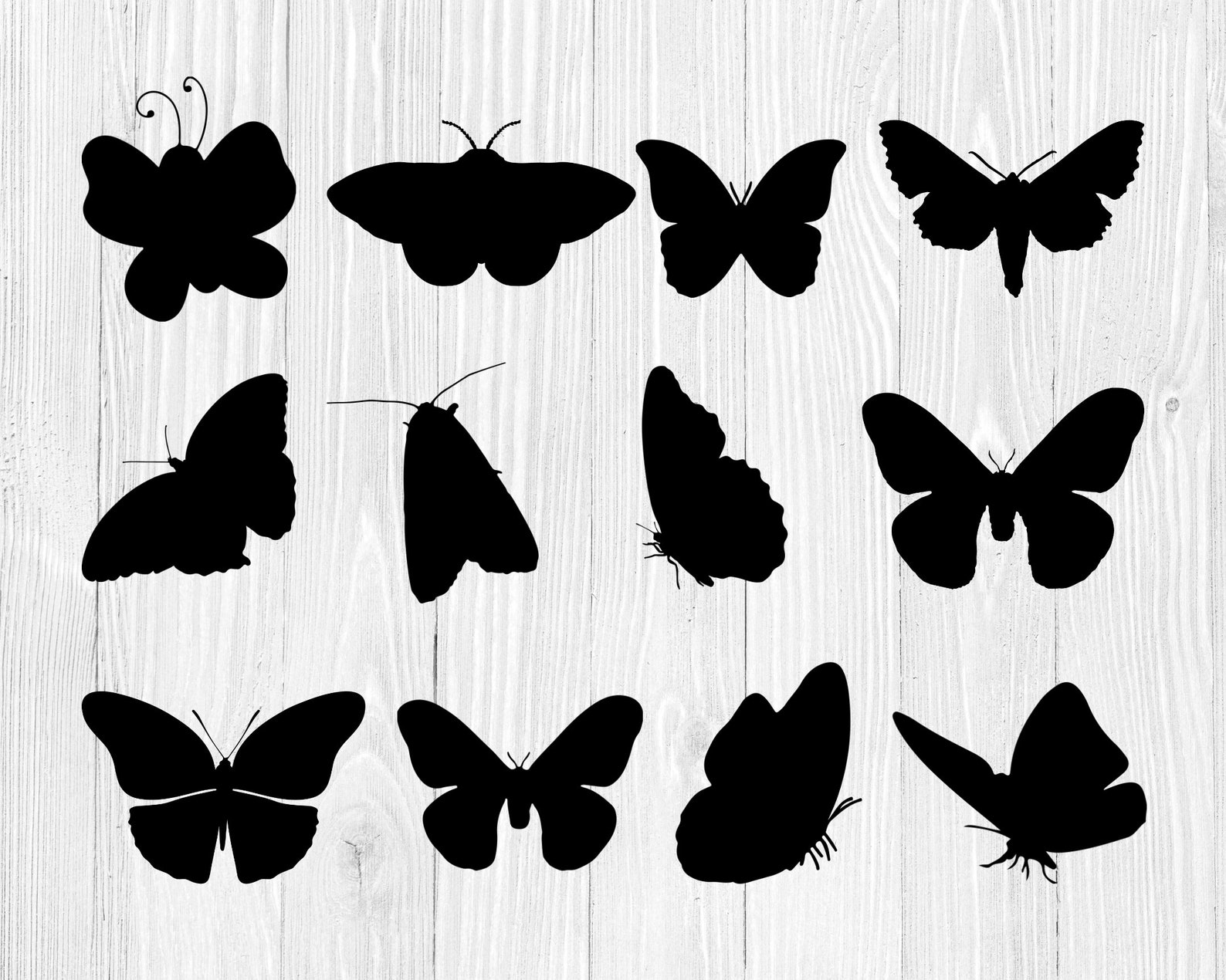 Moth SVG, Butterfly SVG, File for Cricut, for Silhouette Cut Files ...