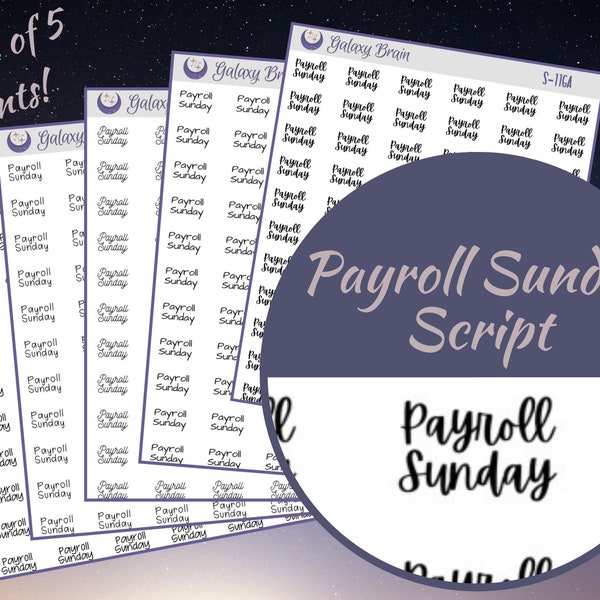 Payroll Planner Stickers - Etsy