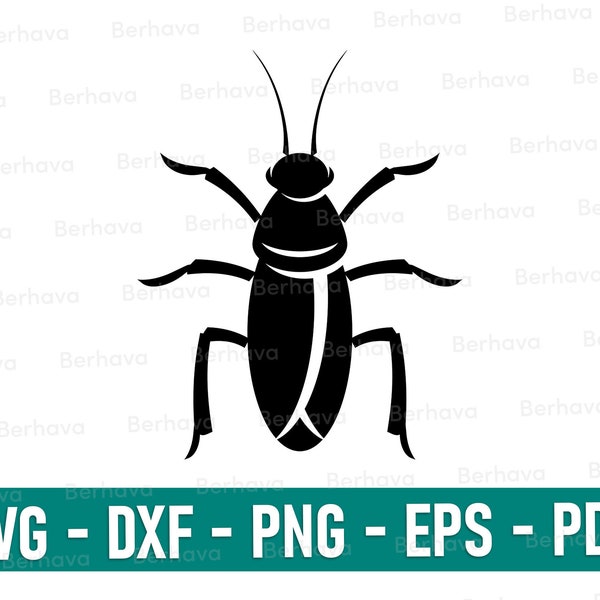 Cockroach Svg - Etsy