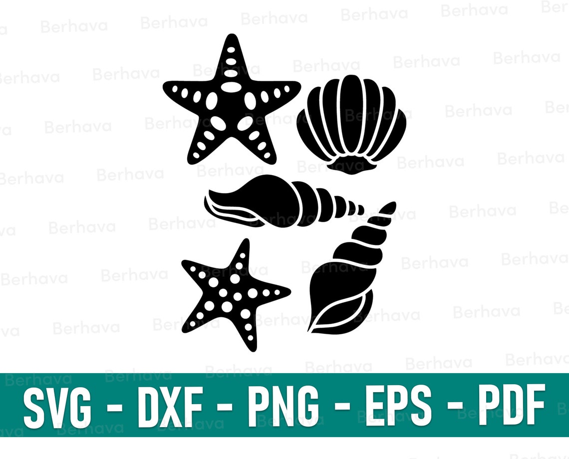 Seashells Svg Seashells Cricutseashells Png Seashells - Etsy
