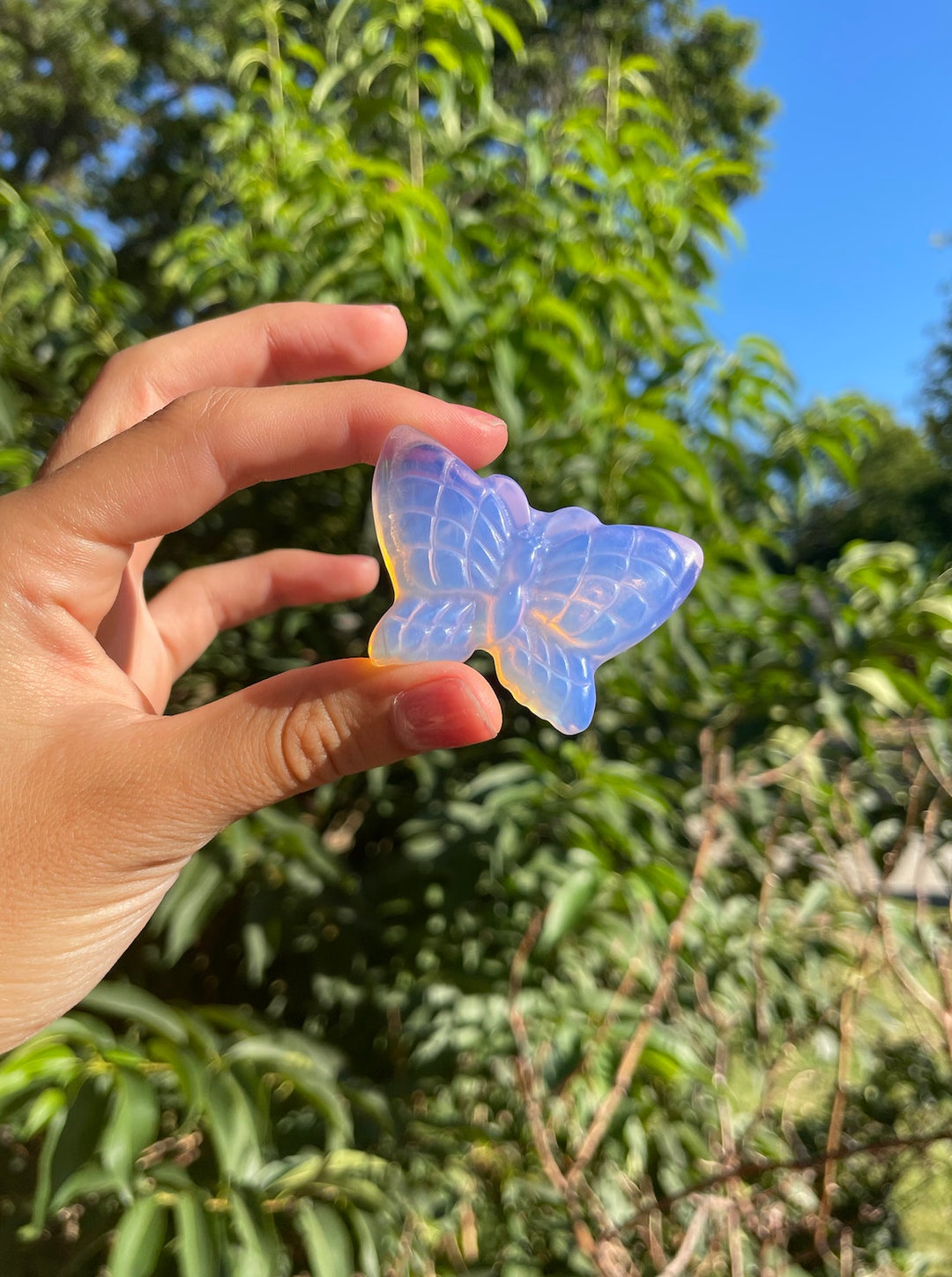 Butterfly Carving - Etsy