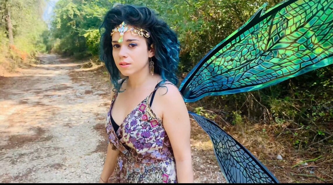 Folding Carnival Row Wings Made to Order Carnival Row Wings - Etsy UK