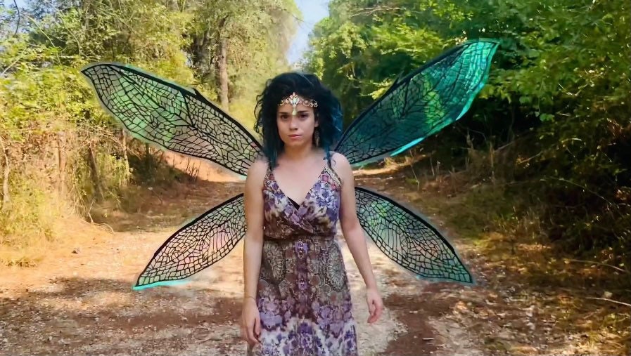 Folding Carnival Row Wings Made to Order Carnival Row Wings ...