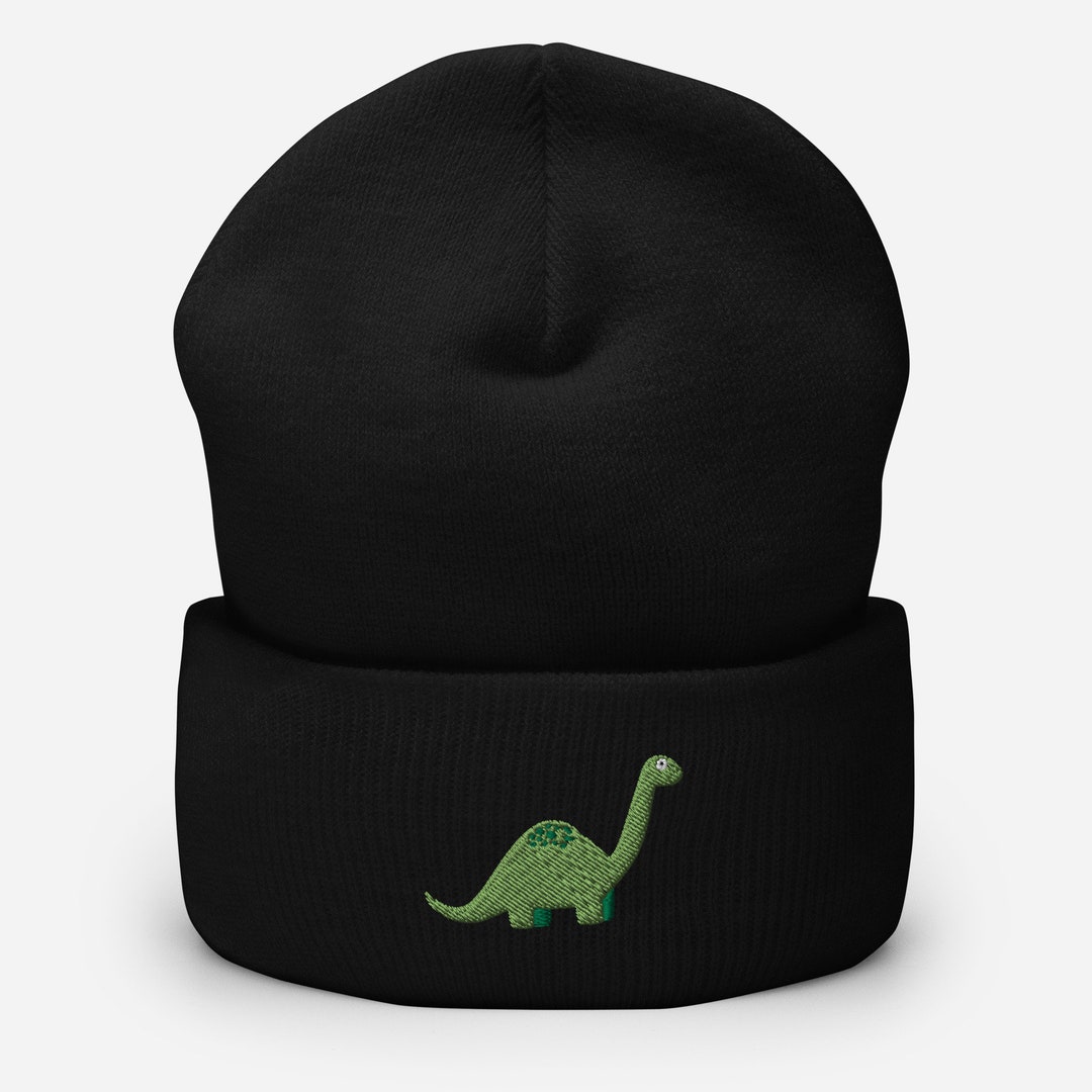 Embroidered Dinosaur Beanie, Unisex Knitted Hat - Etsy
