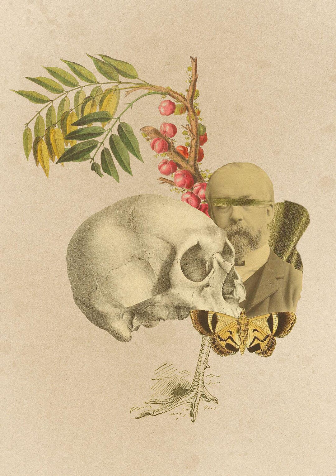 A Glicée Fine Art Print of Collage 20 - Etsy