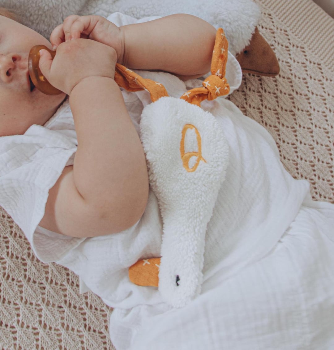 Little Goose Dummy Comforter, Вummy Comforter, Teddy Fleece, Paci ...