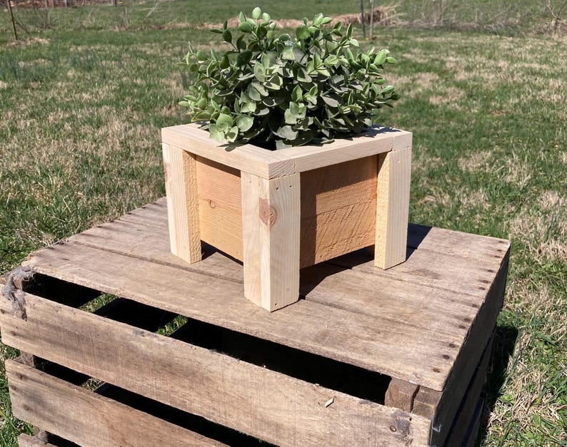 Miniature Planter - Etsy