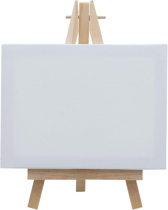 Artist Gives Blank Canvas