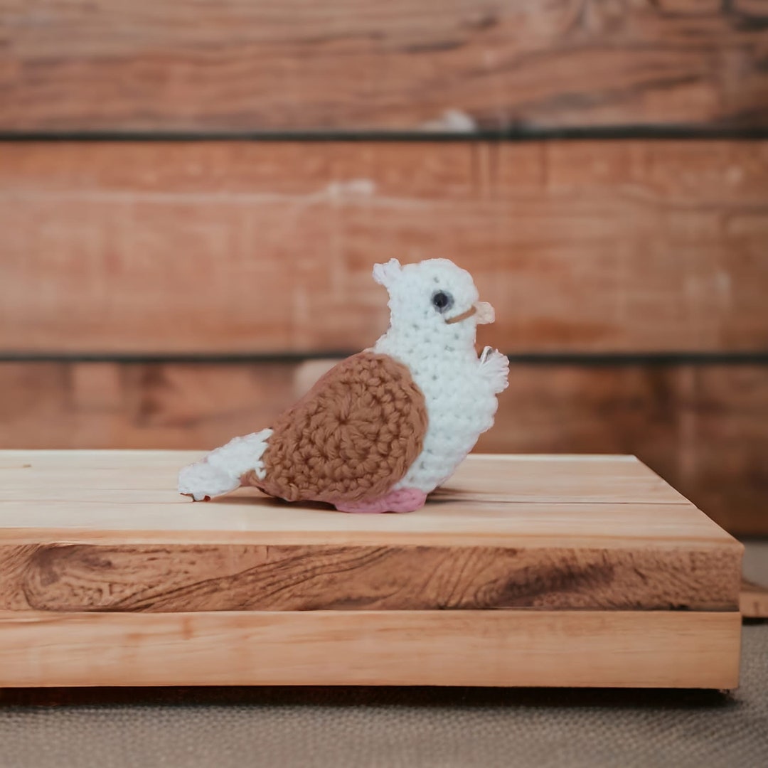 Dutch Turbit Pigeon - Etsy